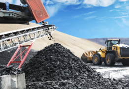 Robindale | Services