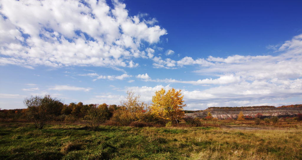 Robindale | Robindale Energy Services