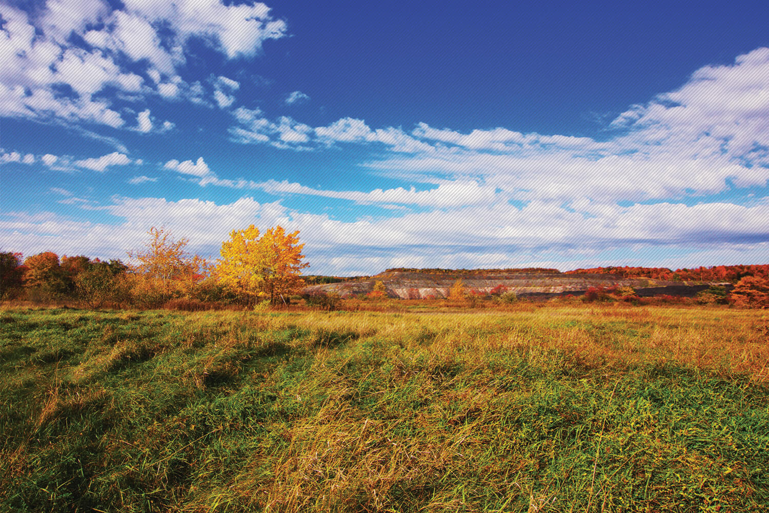 Robindale | Robindale Energy Services