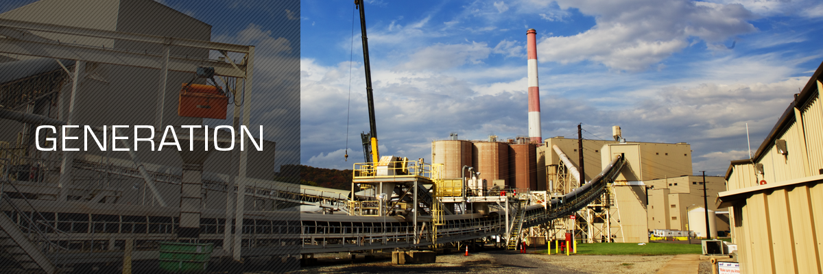 Robindale | Bars-Generation.png