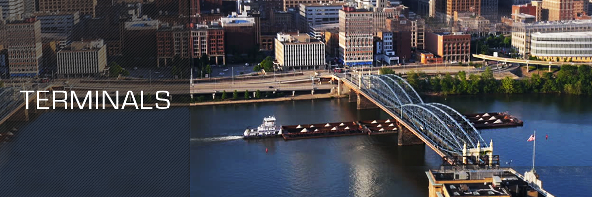 Robindale | Bars-Terminals-3.png